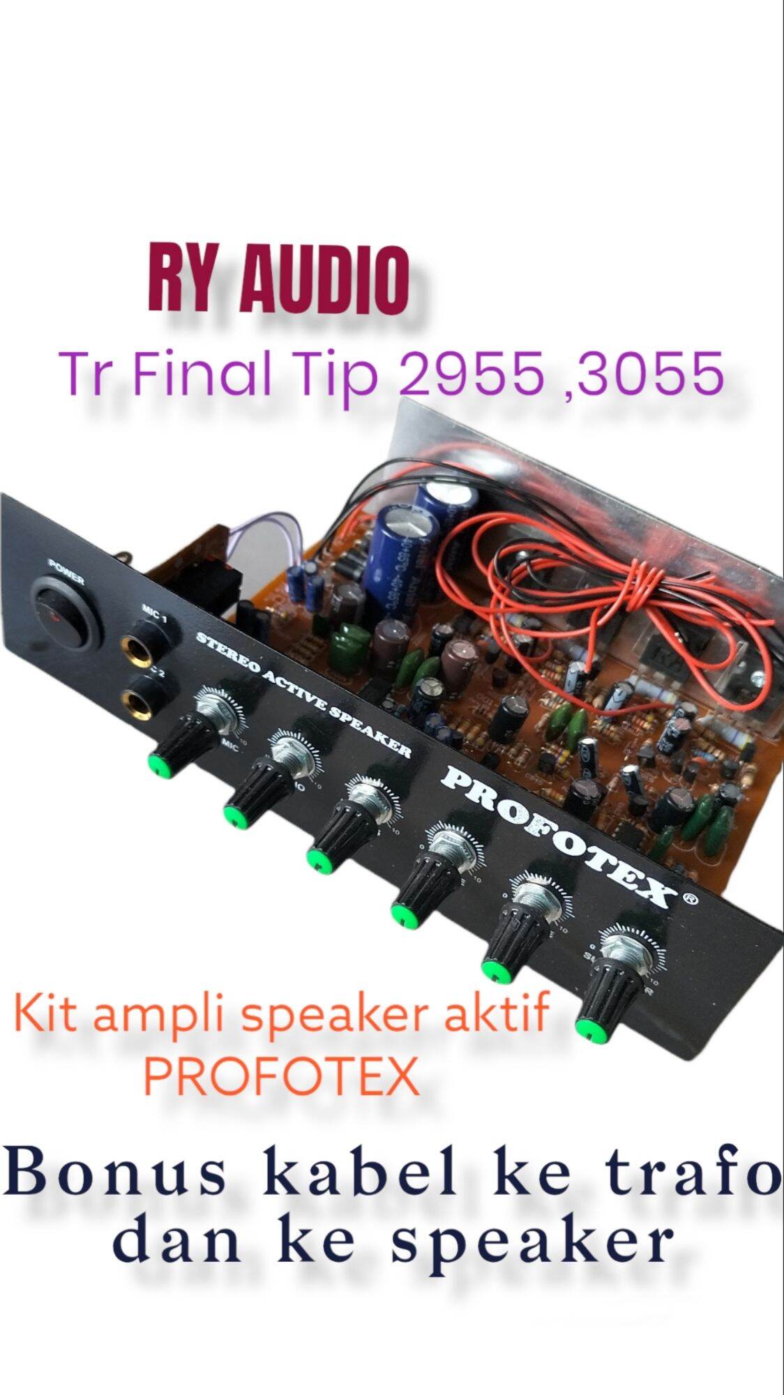RY AUDIO KIT POWER AMPLI SPEAKER AKTIF STEREO PROFOTEX TIP 2955 3055 ...