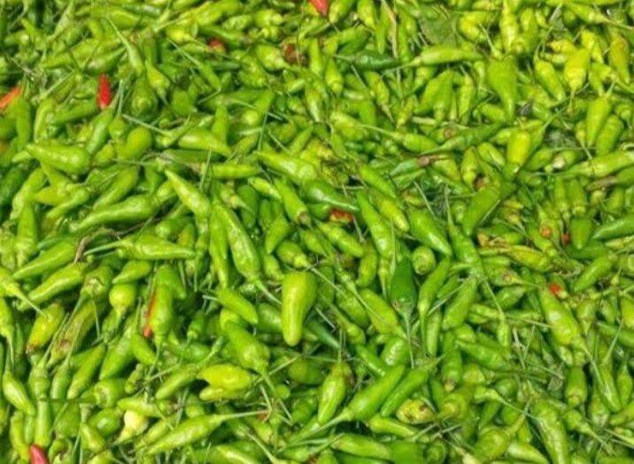 cabe rawit hijau 1kg cabai lalap cengek rawit lalap | Lazada Indonesia