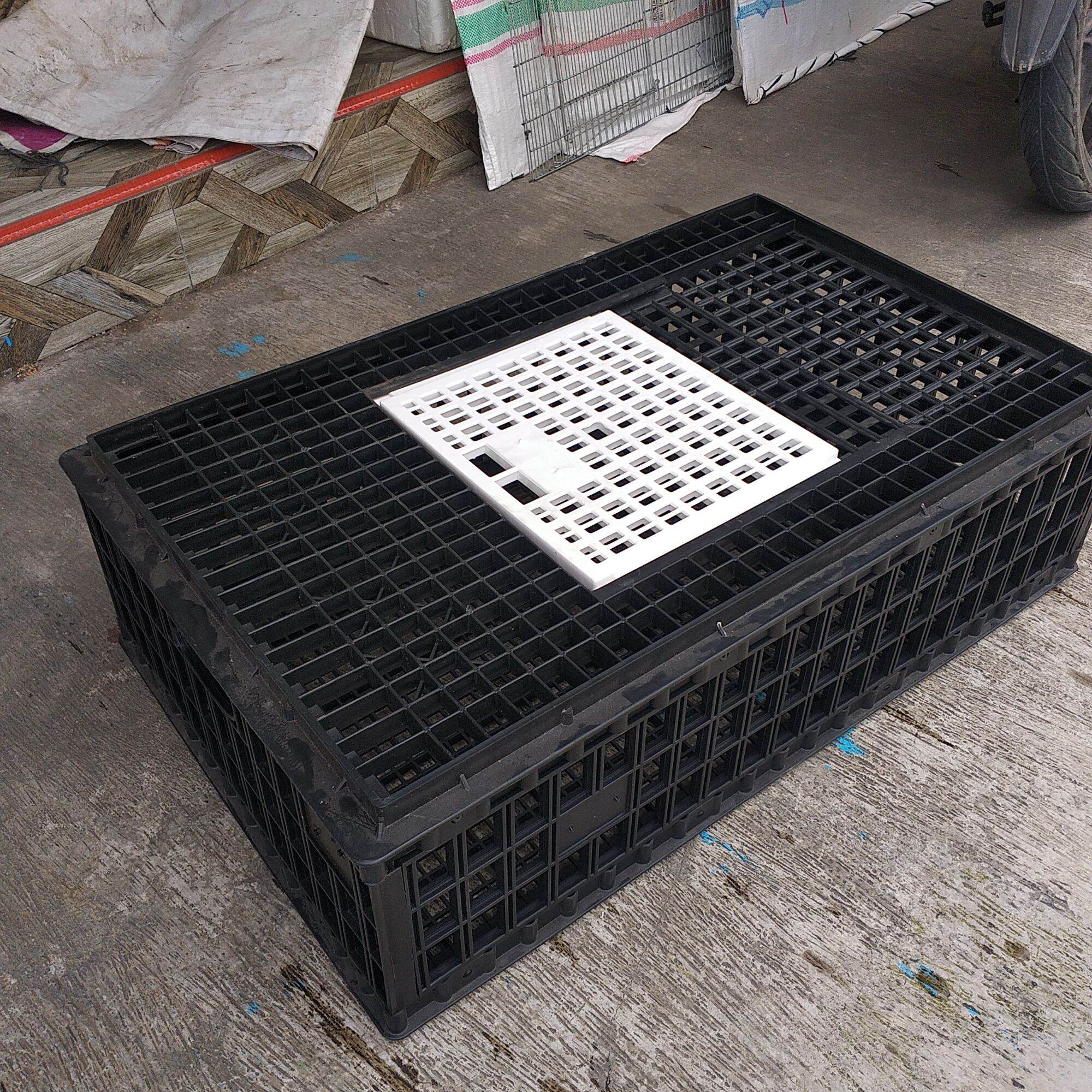 keramba, keranjang ayam panen besar warna Hitam | Lazada Indonesia