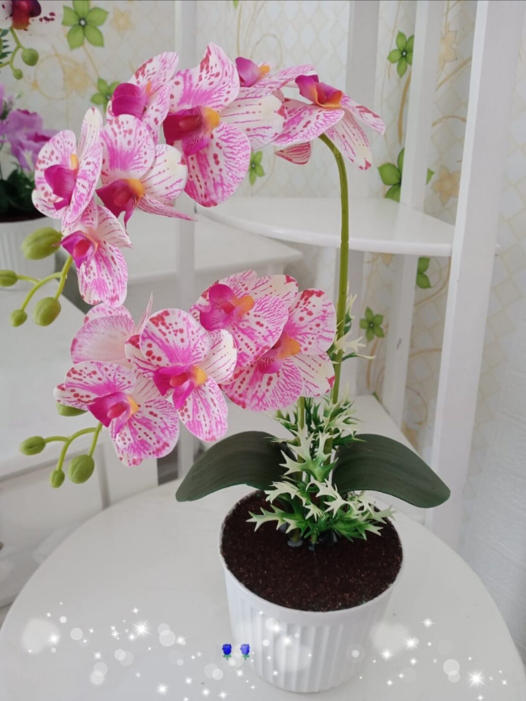 BUNGA ANGGREK LATEK MEJA 001 BUNGA HIAS BUNGA RUANG TAMU | Lazada Indonesia
