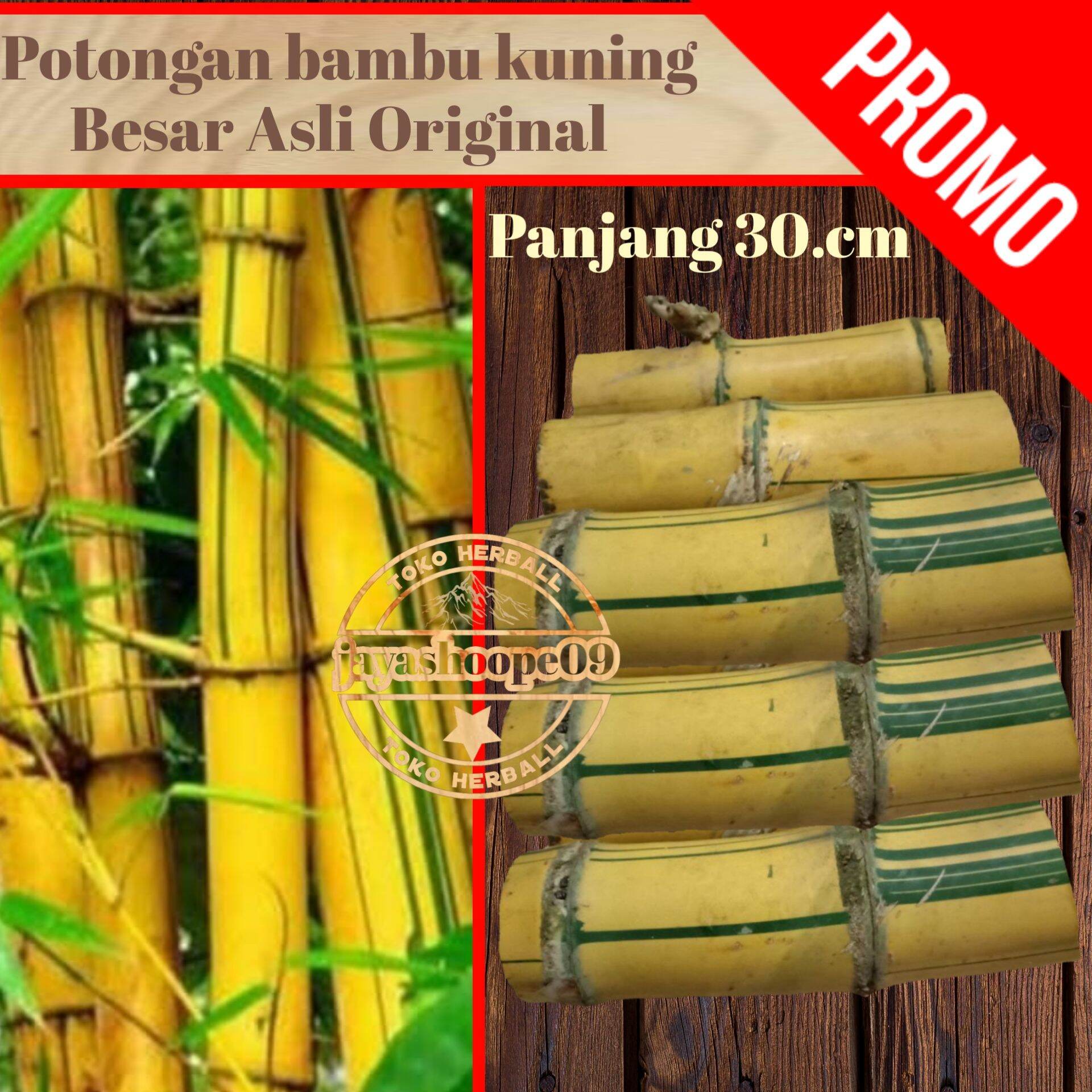 Potongan bambu kuning besar asli original panjang 30.cm | Lazada Indonesia