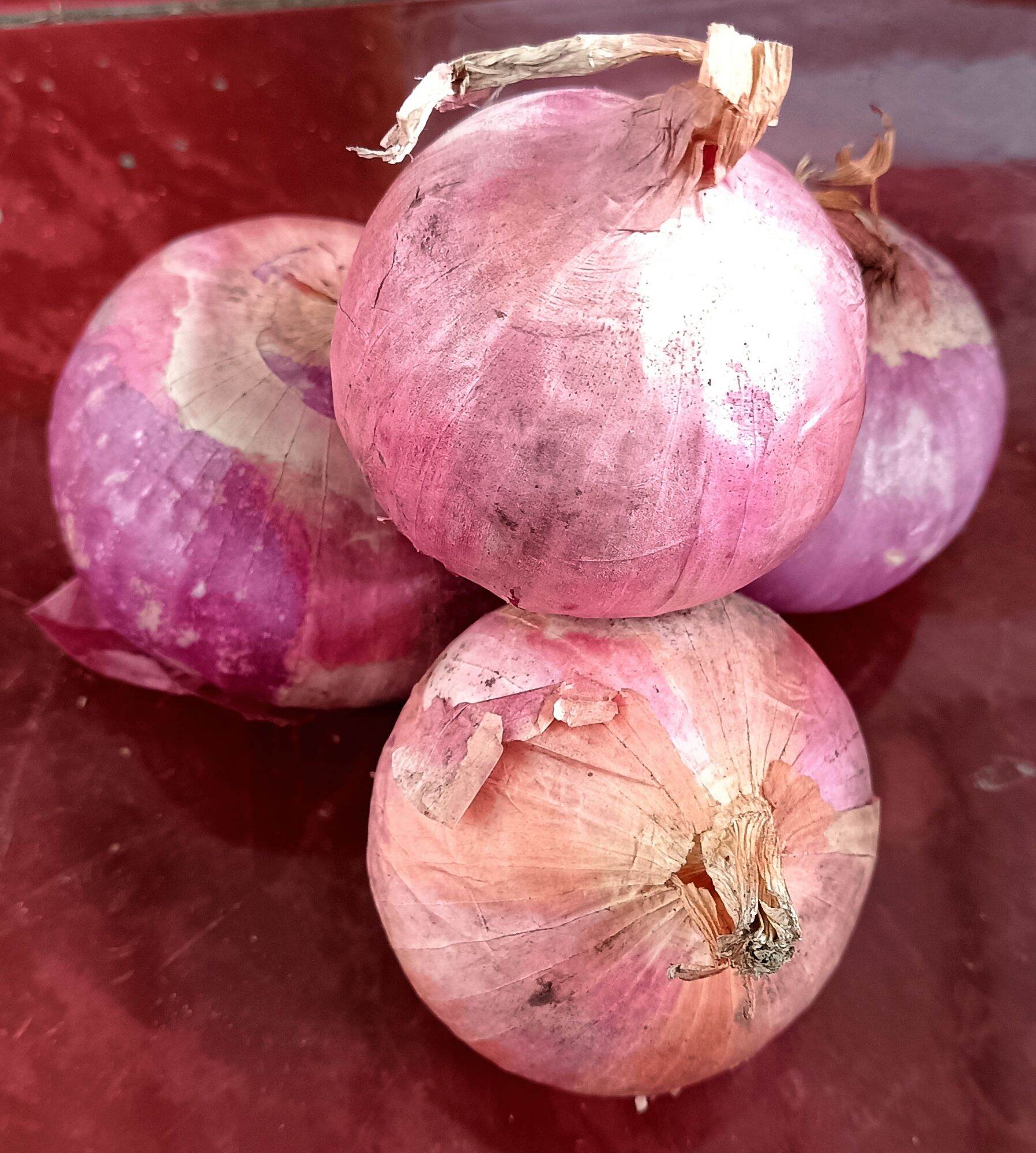 bawang merah india 1kg | Lazada Indonesia
