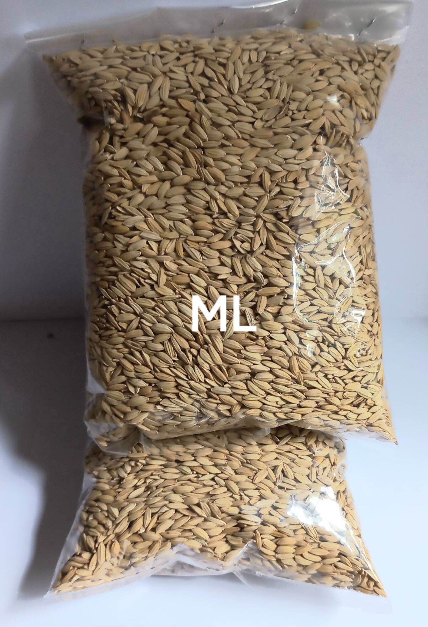 100 gram benih padi huma padi ladang khusus darat | Lazada Indonesia