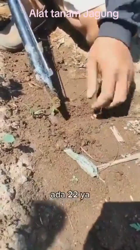 Corn Seeder 1 Mata Alat Tanam Jagung Gejik Benih Tancap Tugal Simple ...