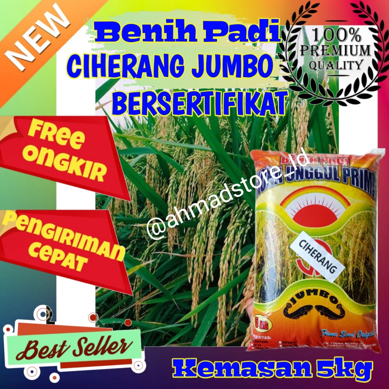 Benih bibit padi Ciherang Jumbo Bersertifikat label ungu | Lazada Indonesia