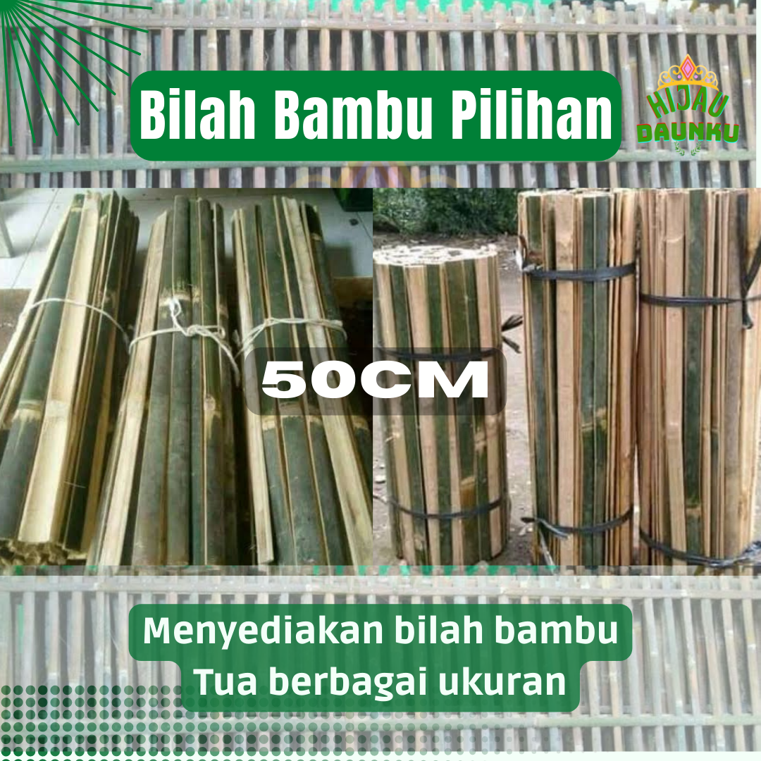 10pcs Pring Bambu Belah Tua Pilihan Panjang 50cm Untuk Pagar Tiang ...