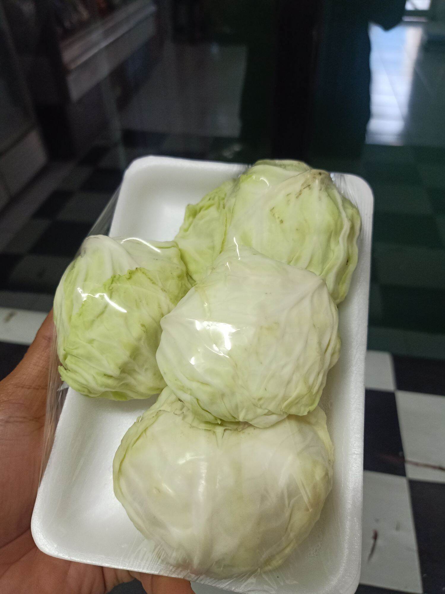 baby kol/kubis | Lazada Indonesia