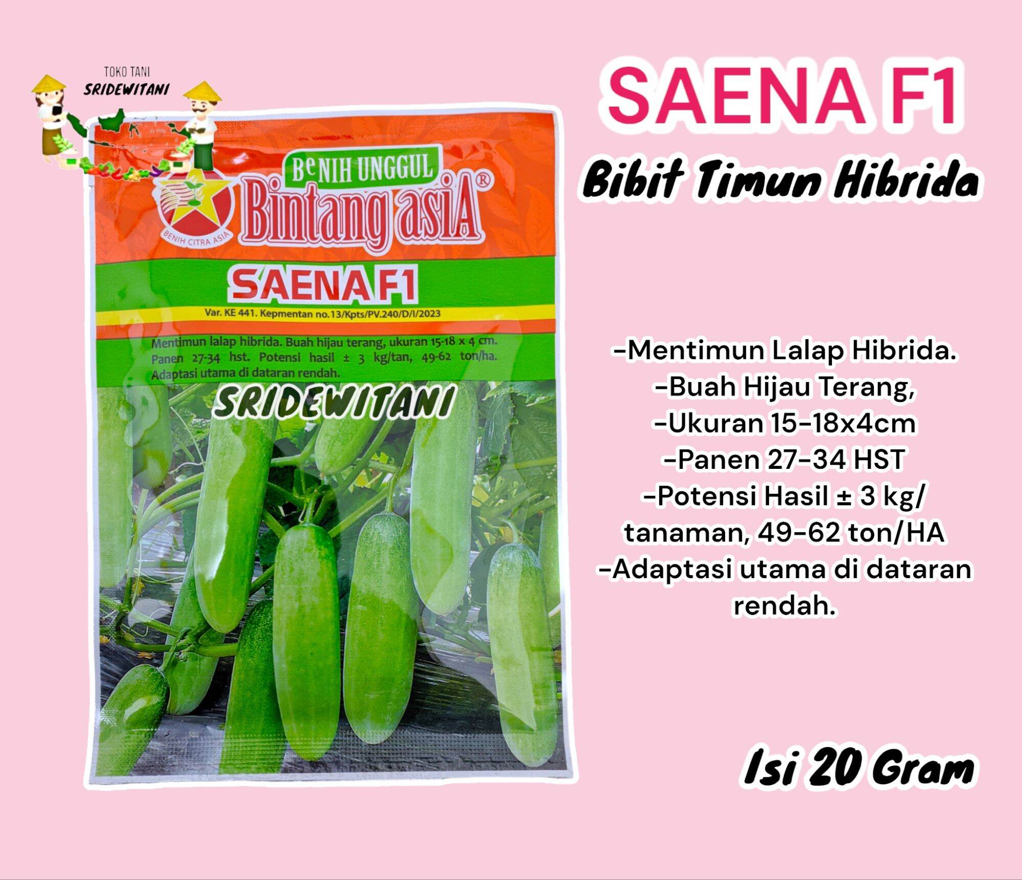 SAENA F1 ISI 20 GRAM BIBIT TIMUN HIBRIDA BINTANG ASIA /WULAN | Lazada ...