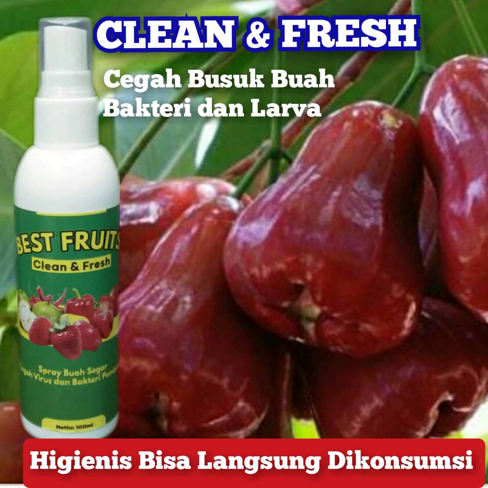 Spray Anti Busuk Buah Segar dan Sayur Clean & Fresh | Lazada Indonesia