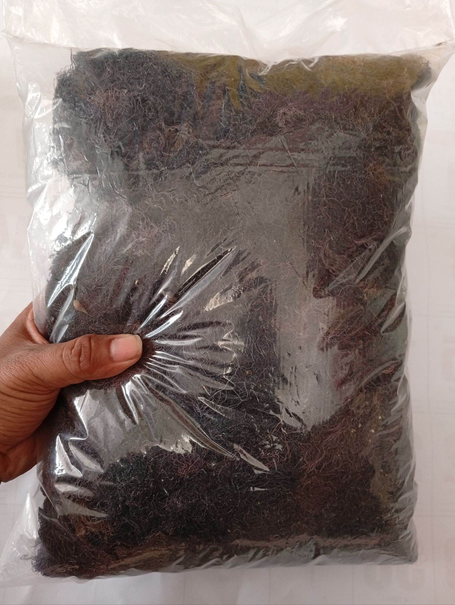 Rumput Laut 1 Kg Kering Glacilaria Untuk Agar Agar Gudir | Lazada Indonesia