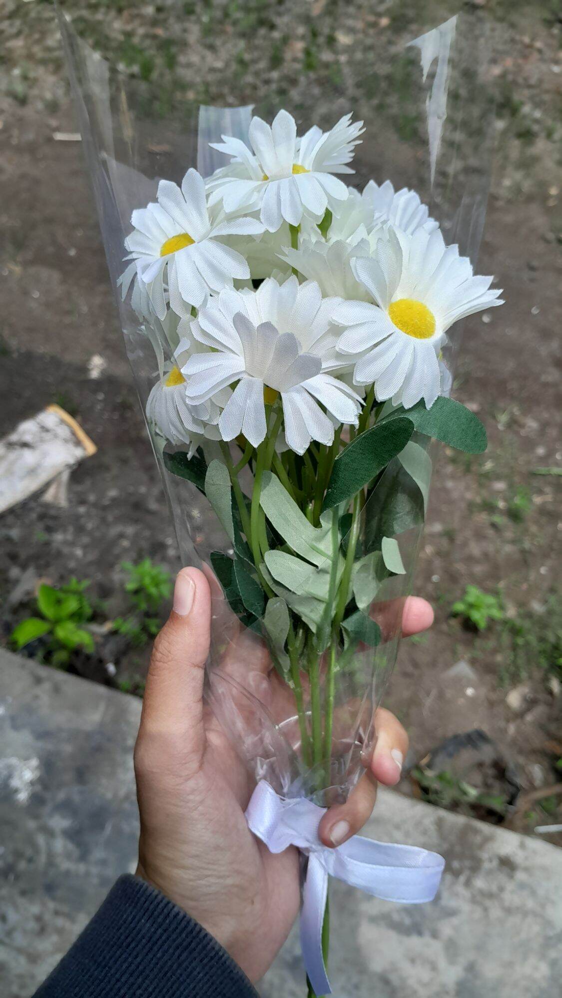 buket bunga daisy by its.flower | Lazada Indonesia