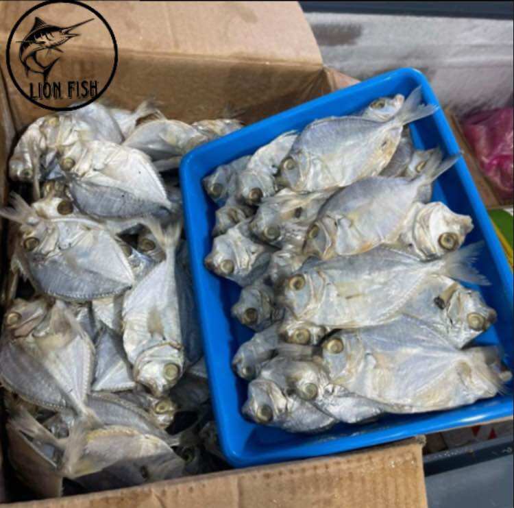 Ikan asin petek besar:1kg | Lazada Indonesia