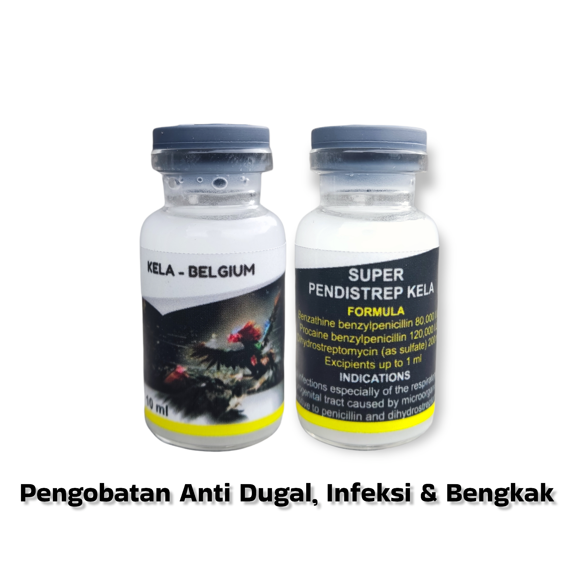 SUPER PENDISTREP KELA BELGIUM obat ayam dugal atau bengkak | Lazada ...
