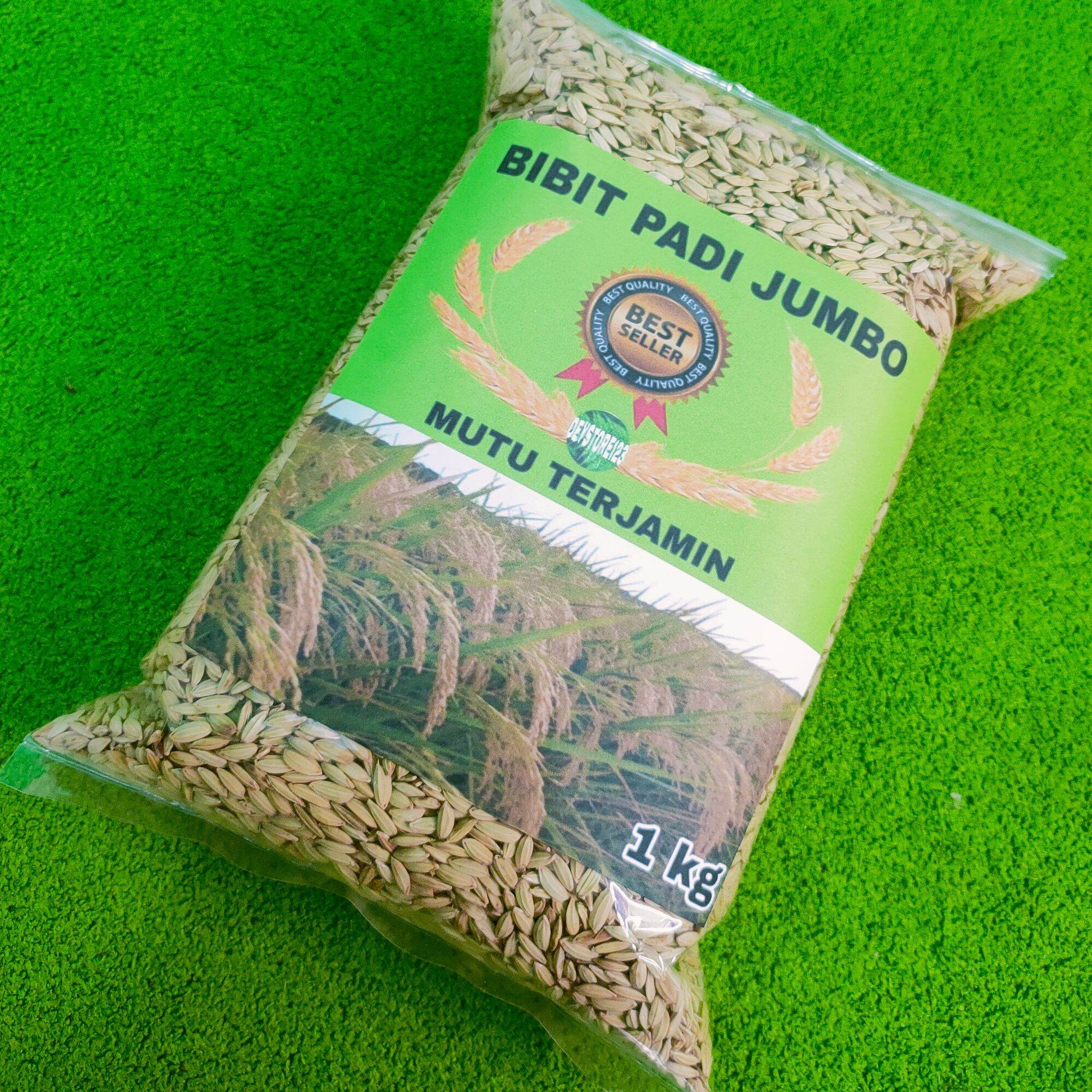 Bibit padi unggul umur pedek terbaru\Benih padi merah\jenis padi jumbo ...