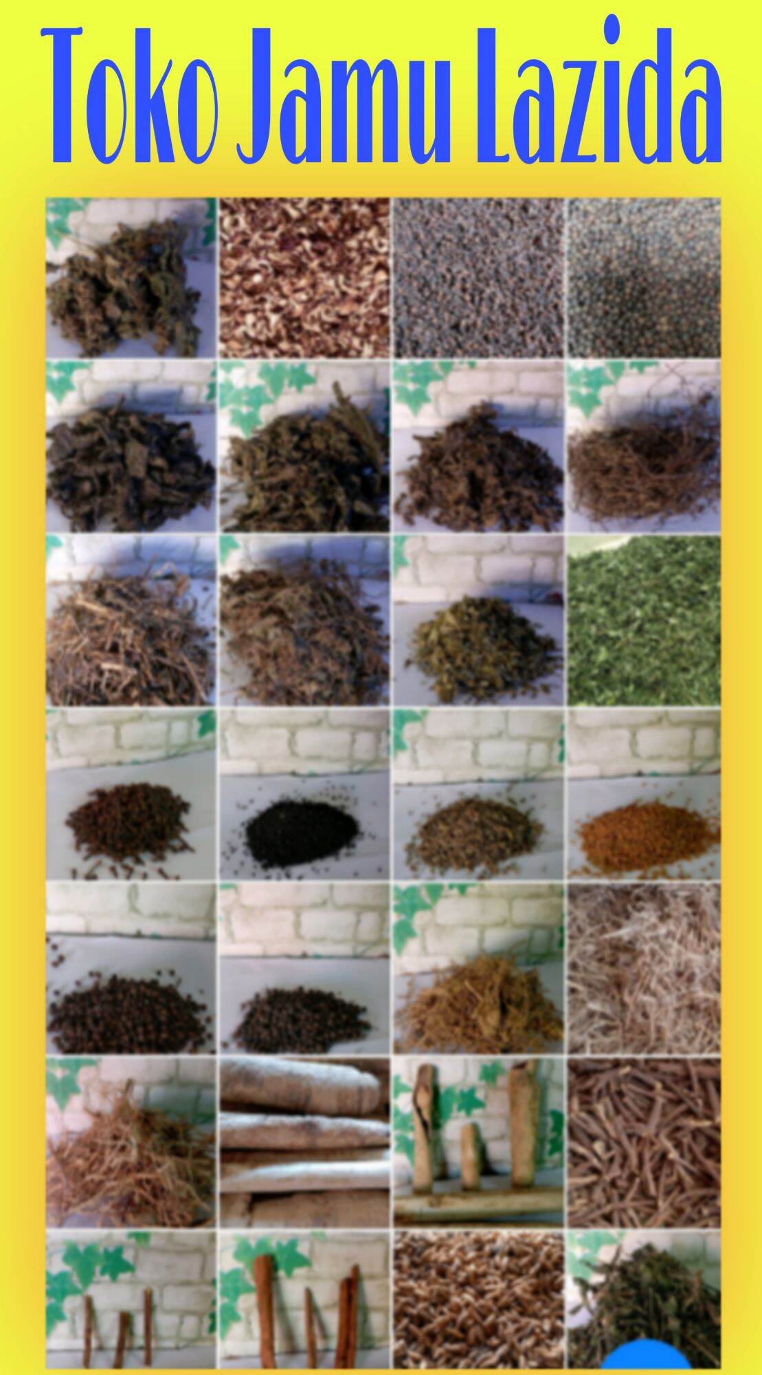 Toko jamu lazida | Lazada Indonesia