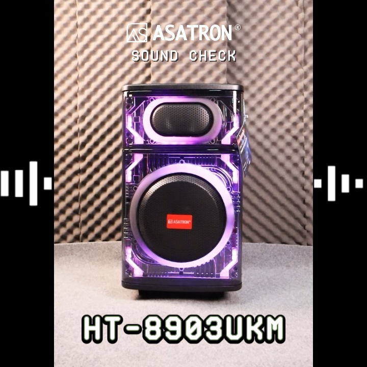 Asatron HT-8903 UKM 10 Inch Bluetooth Karaoke Party Speaker with ...