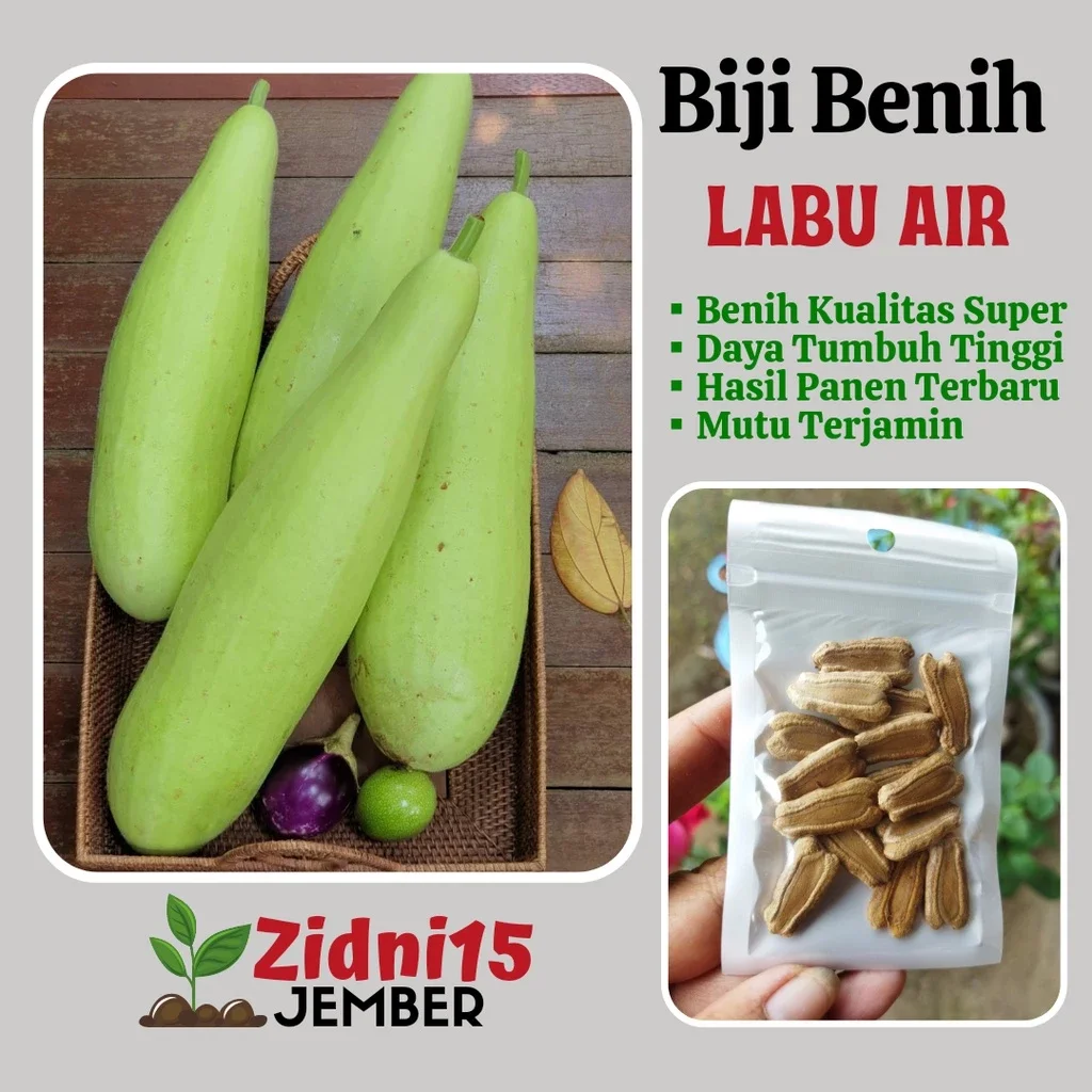 15 Biji Benih Labu Air / Blonceng | Lazada Indonesia 15 Biji Benih Labu Air / Blonceng | Lazada Indonesia