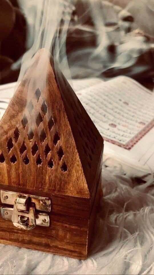 Syarif Muhammad Toko resmi di Indonesia, Online Shop 03 2025