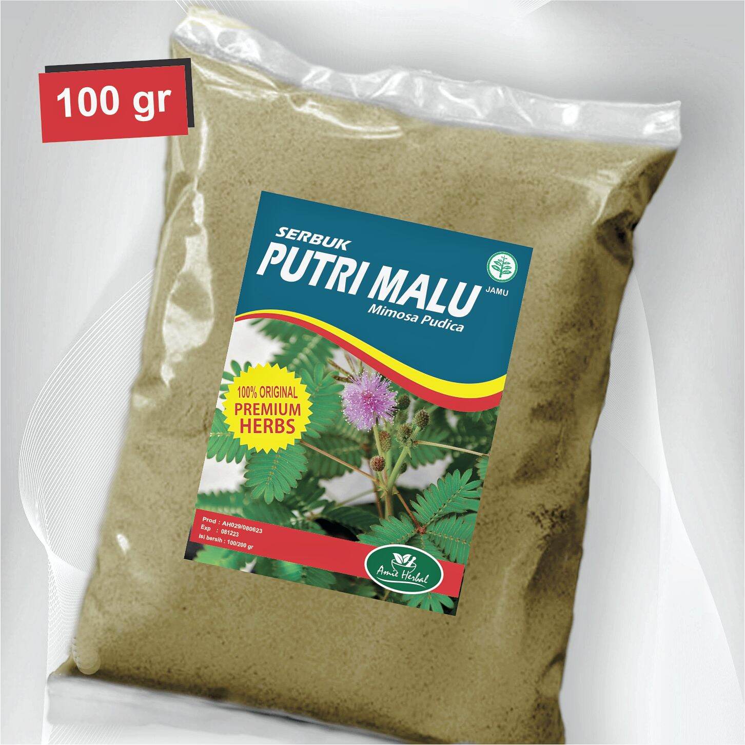 Daun PUTRI MALU KERING / Mimosa pudica. Organic/Natural/Herbal untuk ...