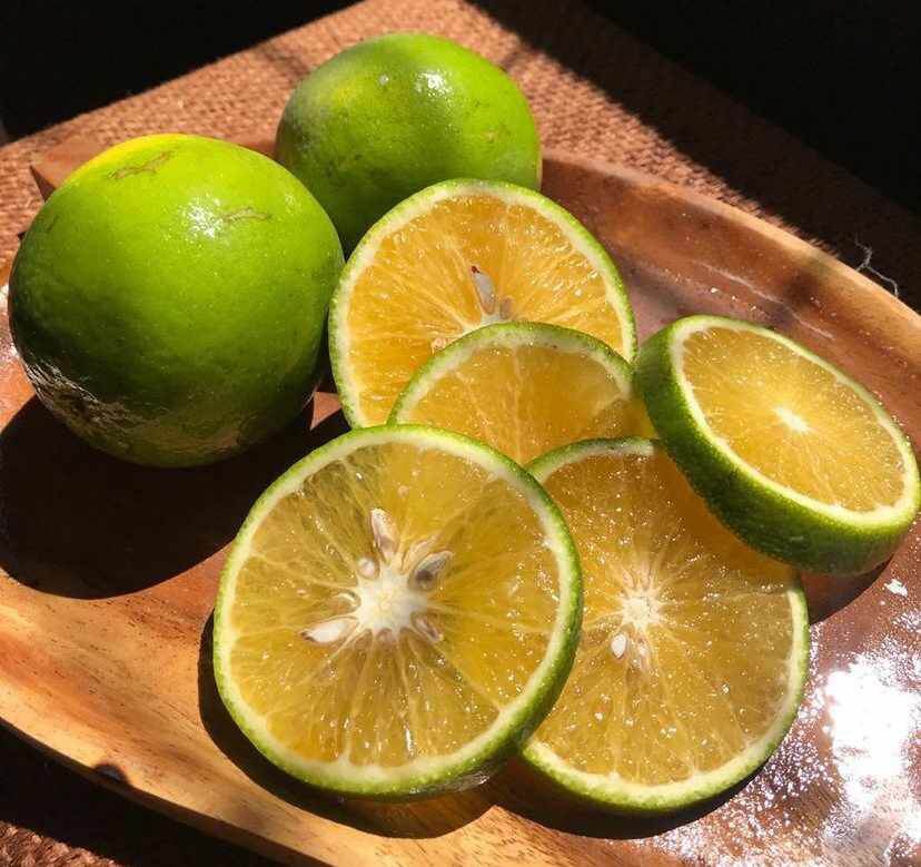 BUAH JERUK BABY JAVA PACITAN HAPPYFRUITS 1KG | Lazada Indonesia