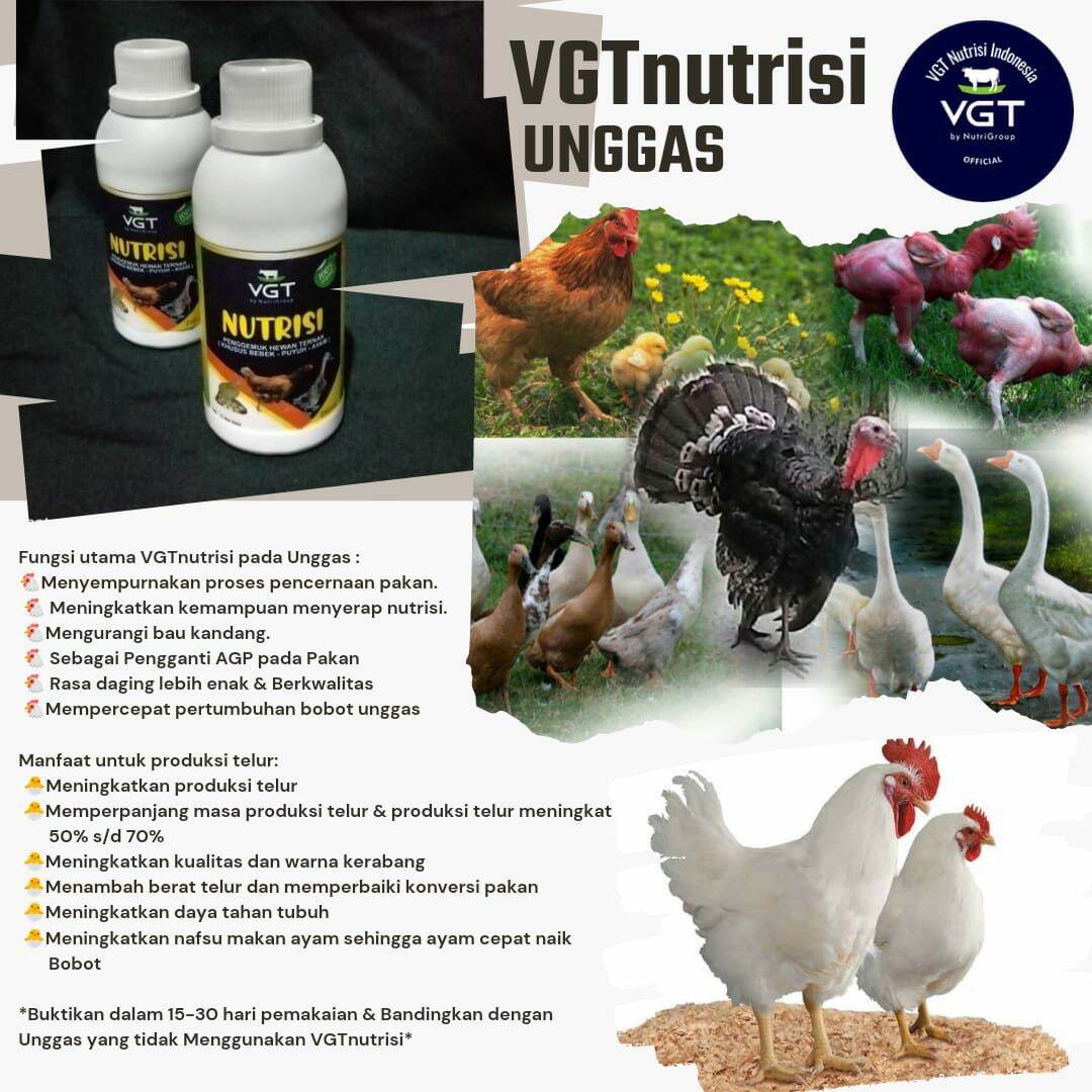 VGT nutrisi Vitamin Ternak Alami untuk Sapi Kambing Kerbau Kuda Kelinci ...