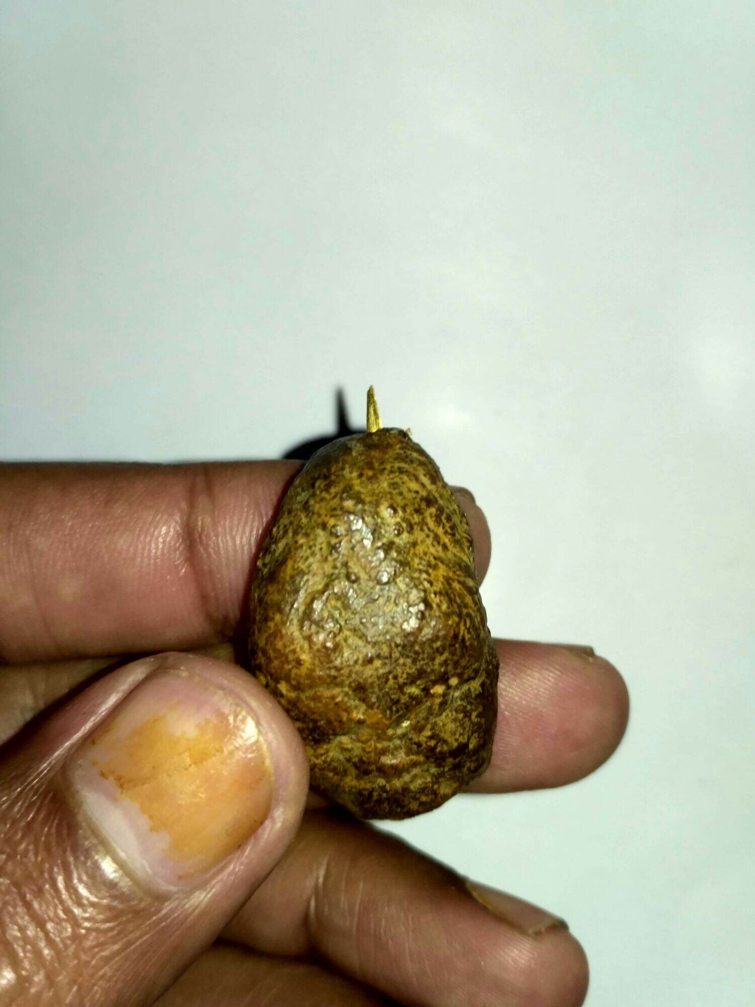 batu entung Wesi kuning | Lazada Indonesia
