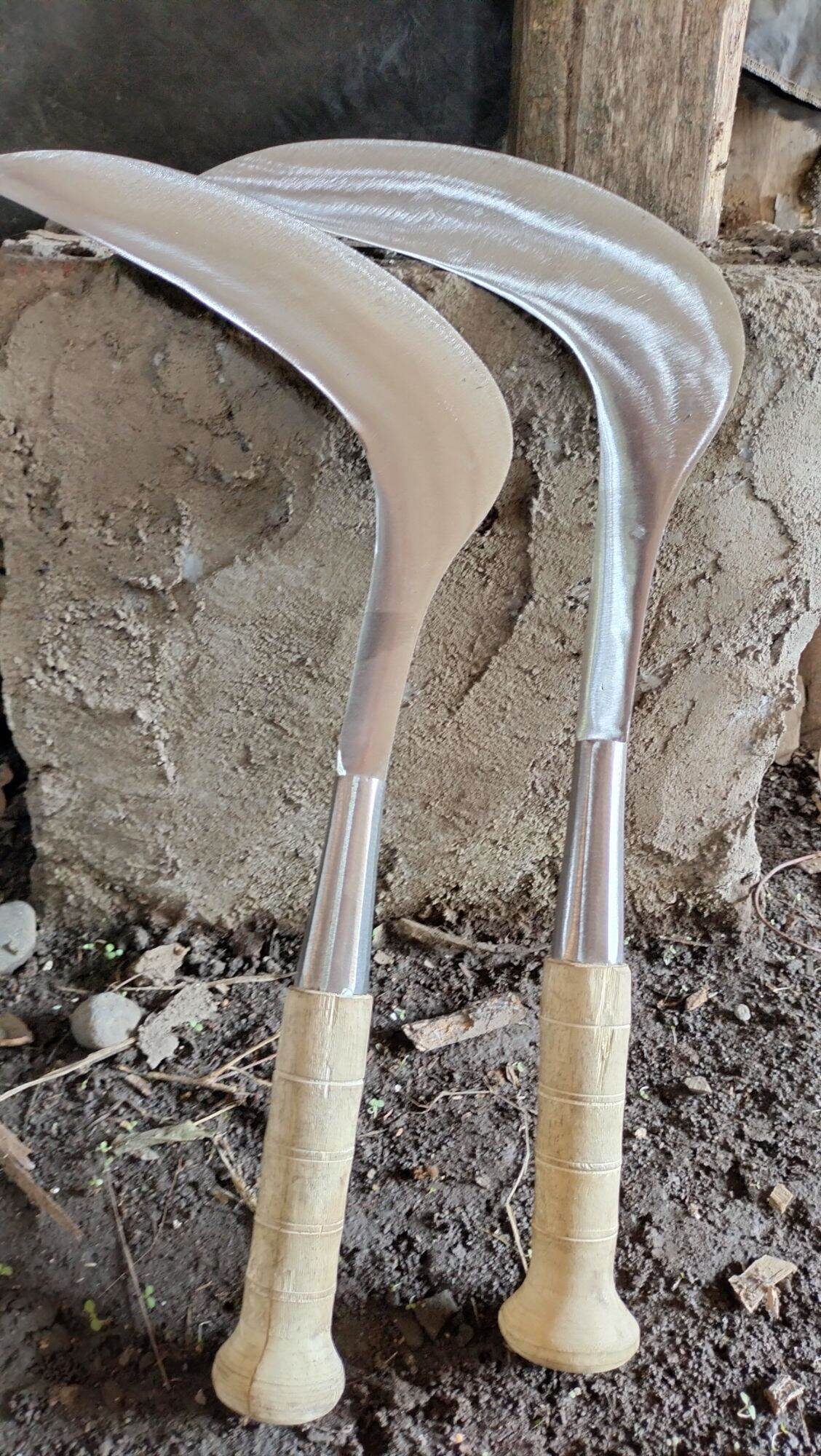 arit rumput dan rambann | Lazada Indonesia