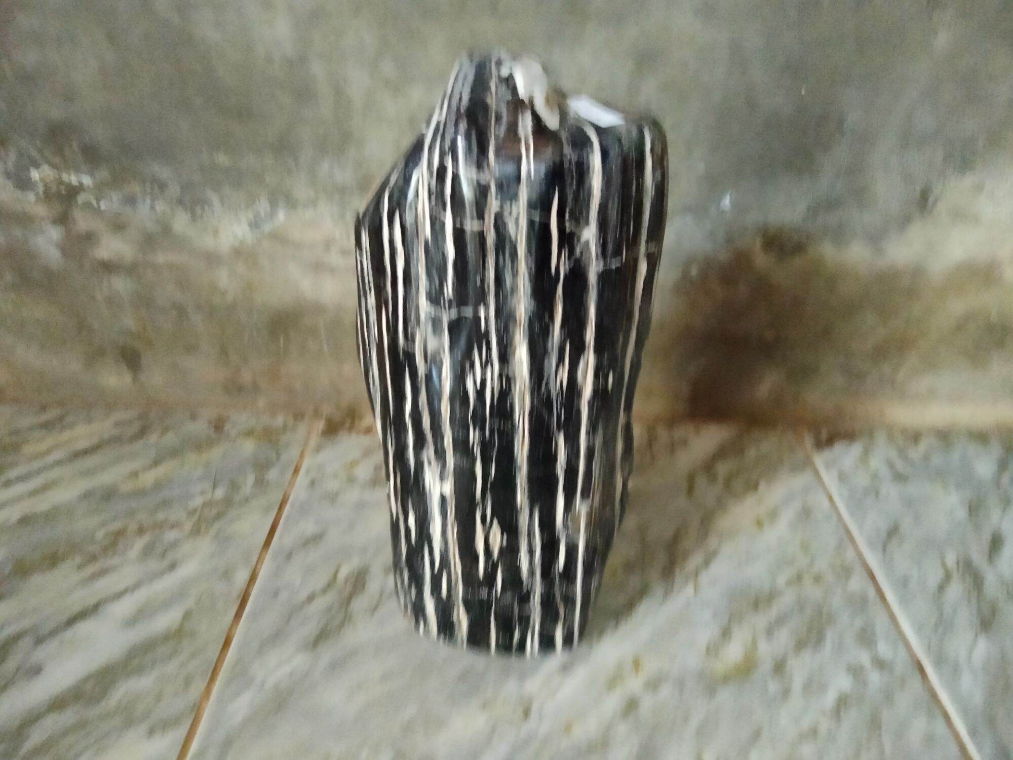 batu alam fosil pajangan/hiasan ruang/taman | Lazada Indonesia