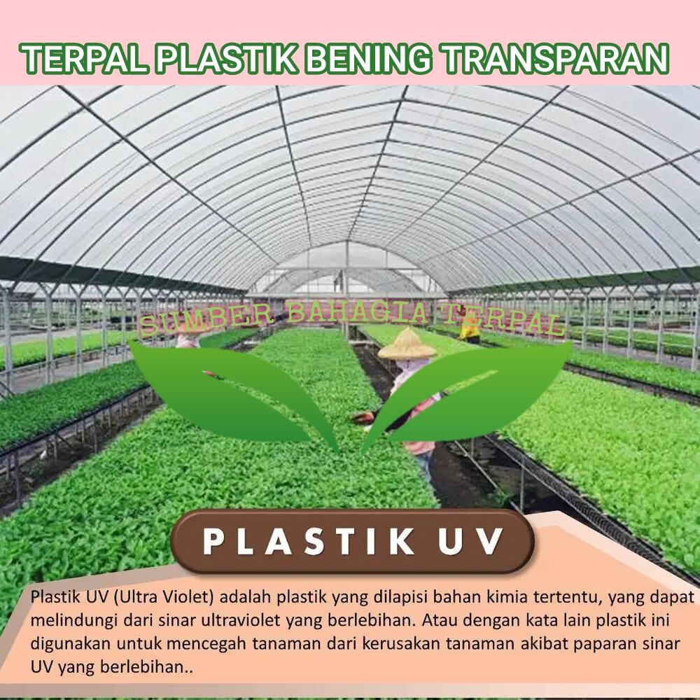 terpal plastik bening original ukuran 1x8 | Lazada Indonesia