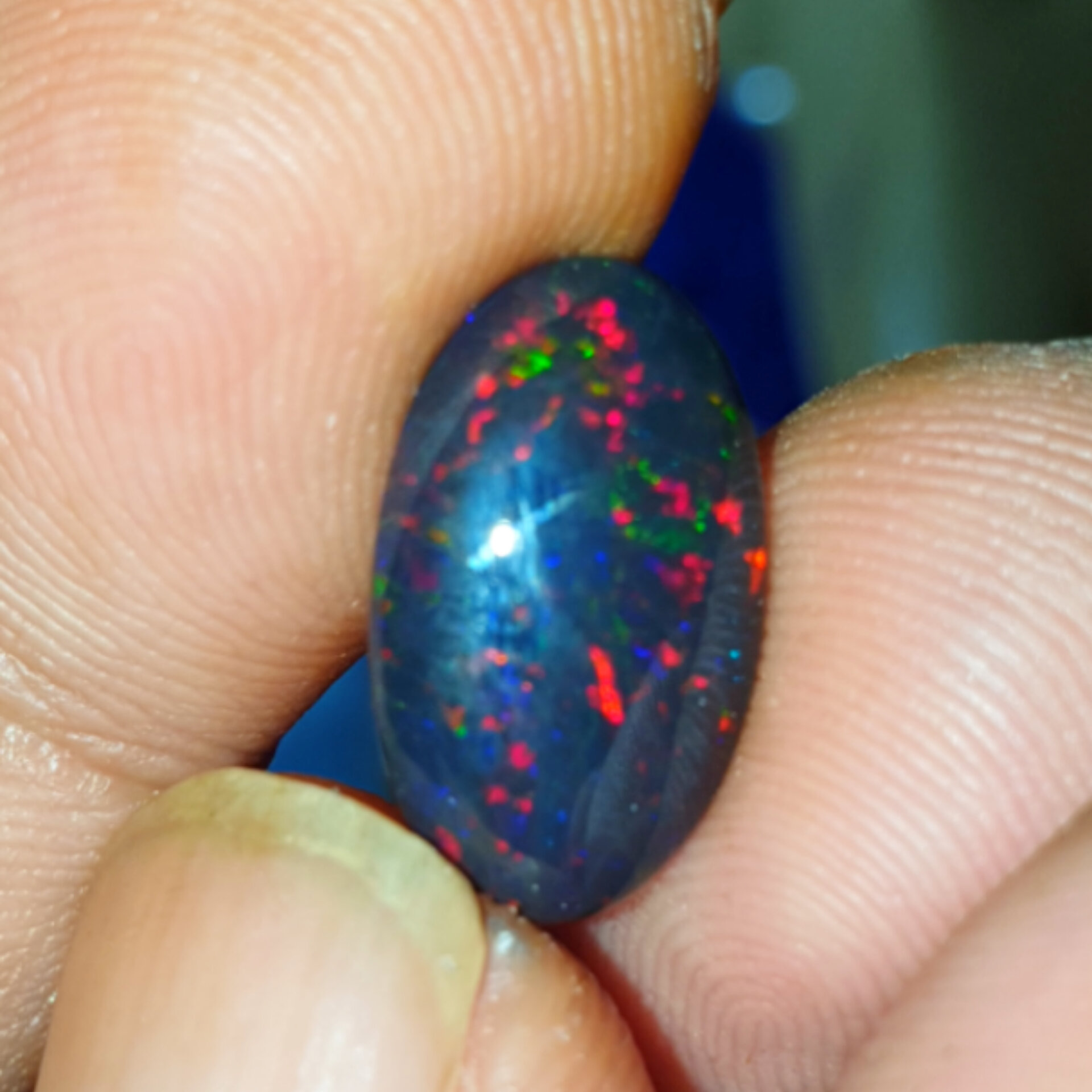 kalimaya black opal solid asli banten jarong rapet jozz | Lazada Indonesia