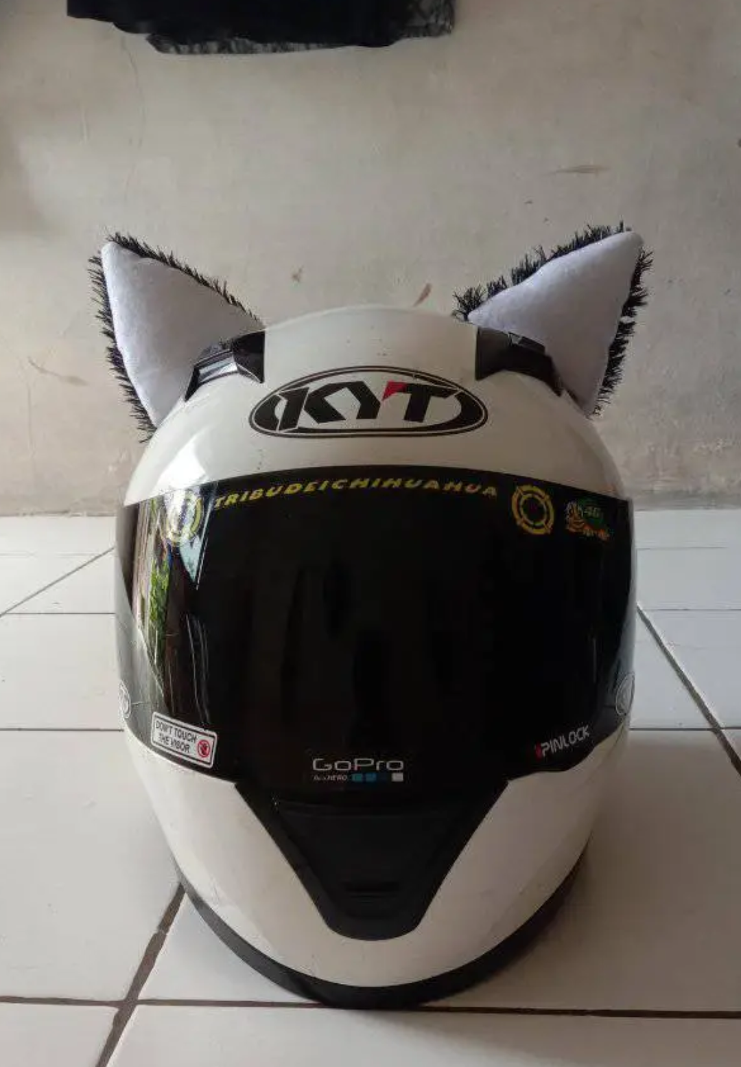 kuping helm kuping kucing helm kuping kucing neko bogo kyt dll | Lazada ...