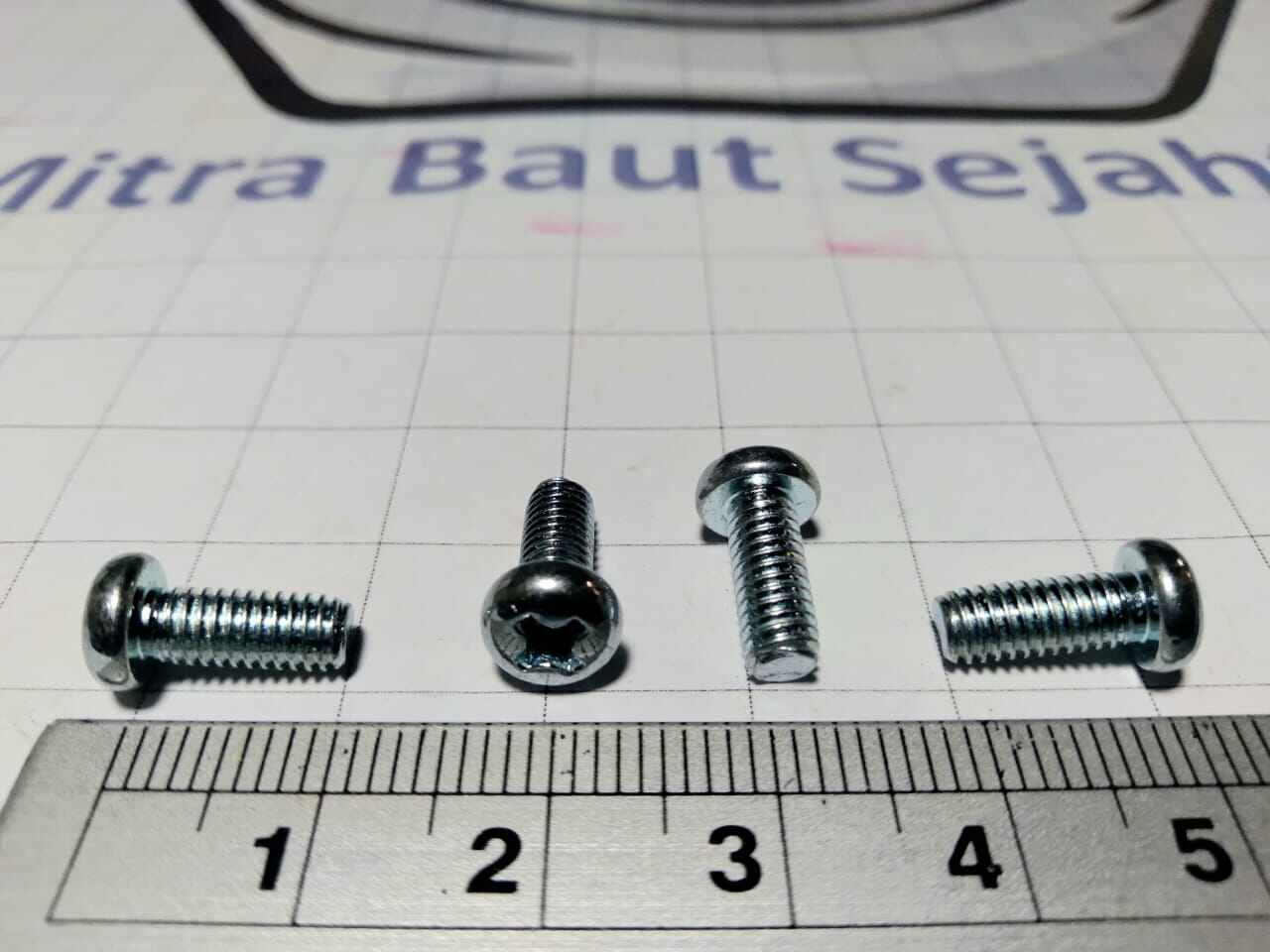 10 Pcs Baut jp M4 x 10 Galvanis / Sekrup / Skrup jp m4 x 10 Panjang 1 ...