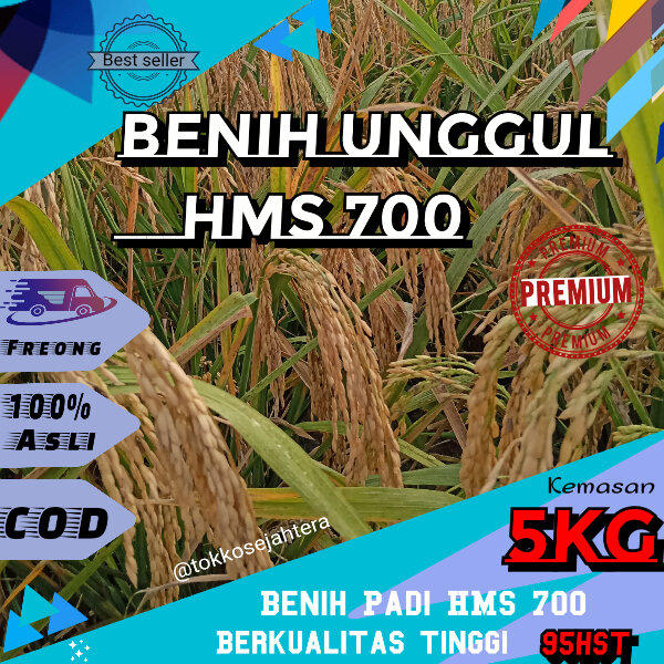Bibit padi unggul HMS700 kemasan 5kg spesial promo | Lazada Indonesia