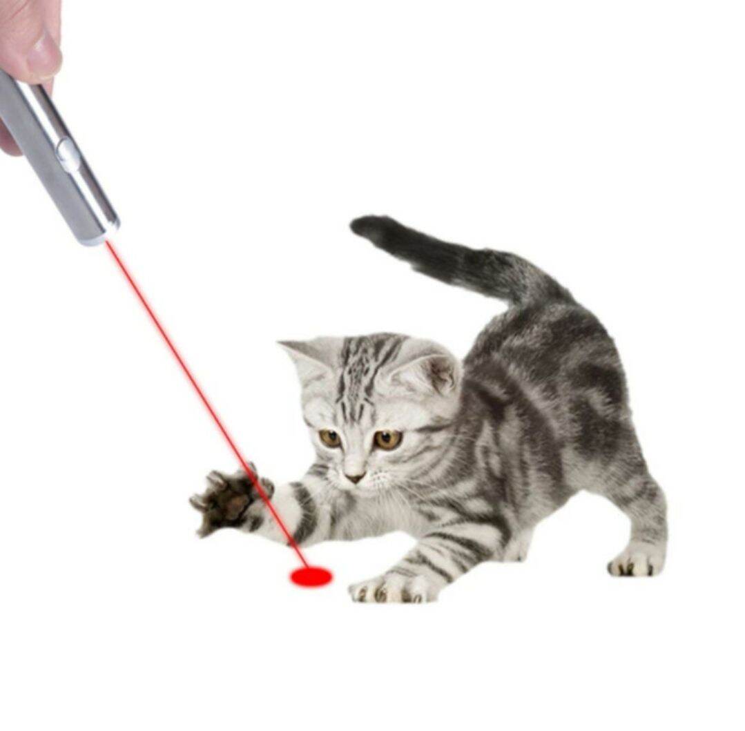 laser pointer laser kucing mainan kucing laser | Lazada Indonesia