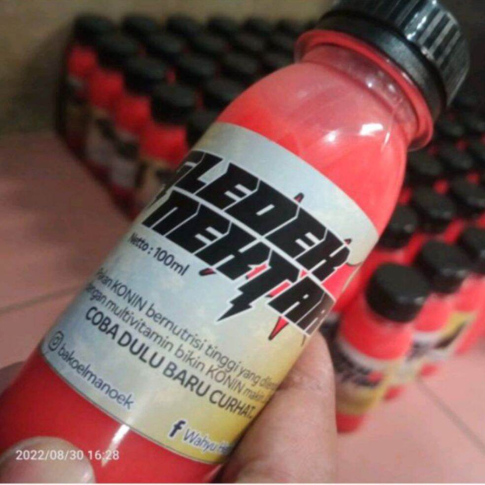 Gledek nektar konin kolibri pleci sogon muncang nekstar pink nextar ...