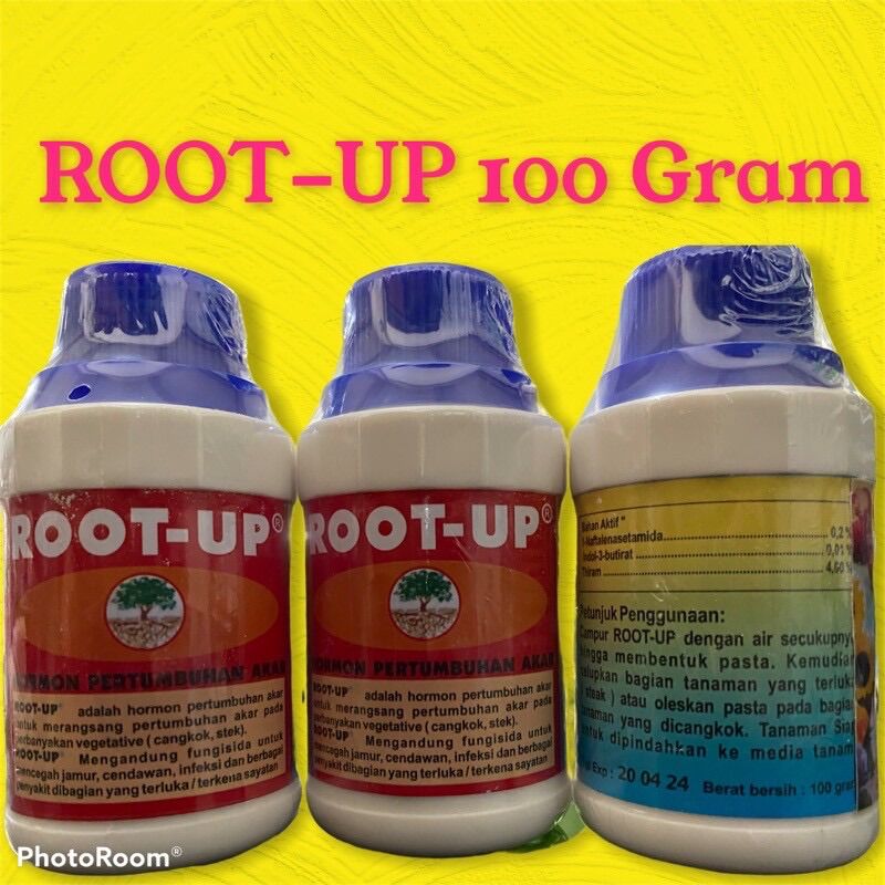 ROOT-UP ROOTUP ROOTONE F 100gram PerangsangAkar Pemacu akar plus ...