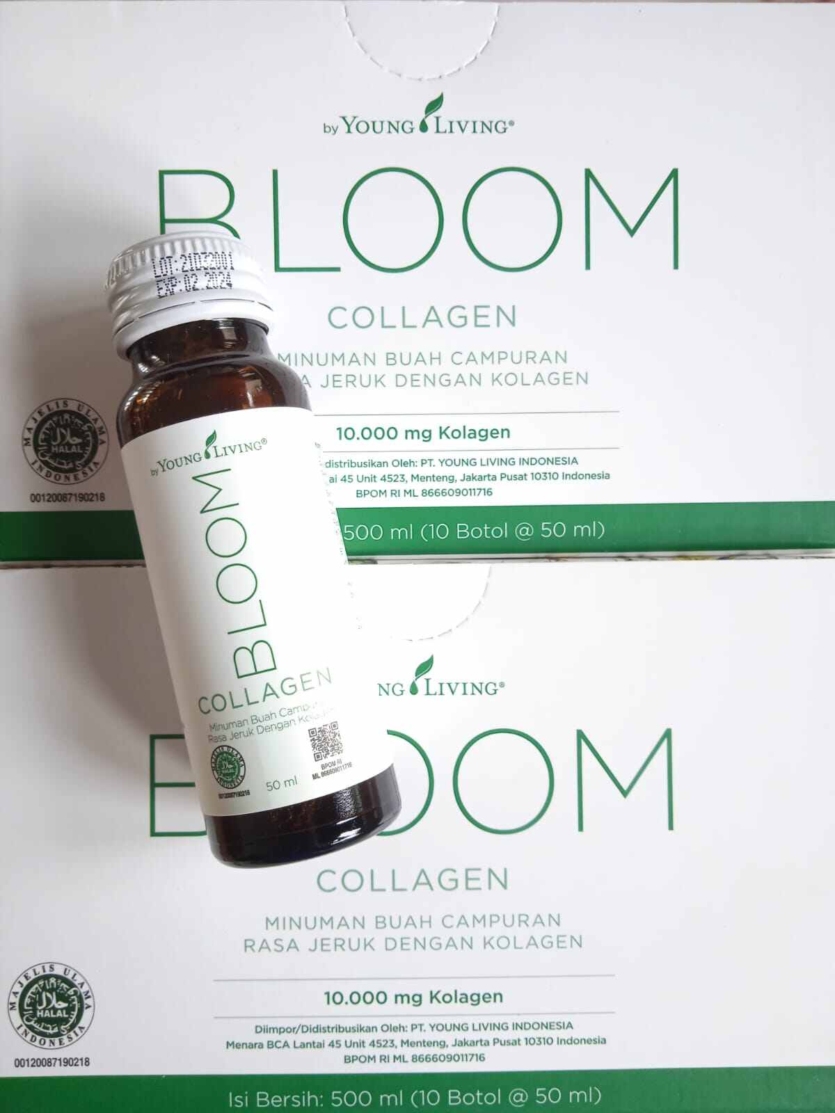 bloom collagen drink young living, young living original, young living ...