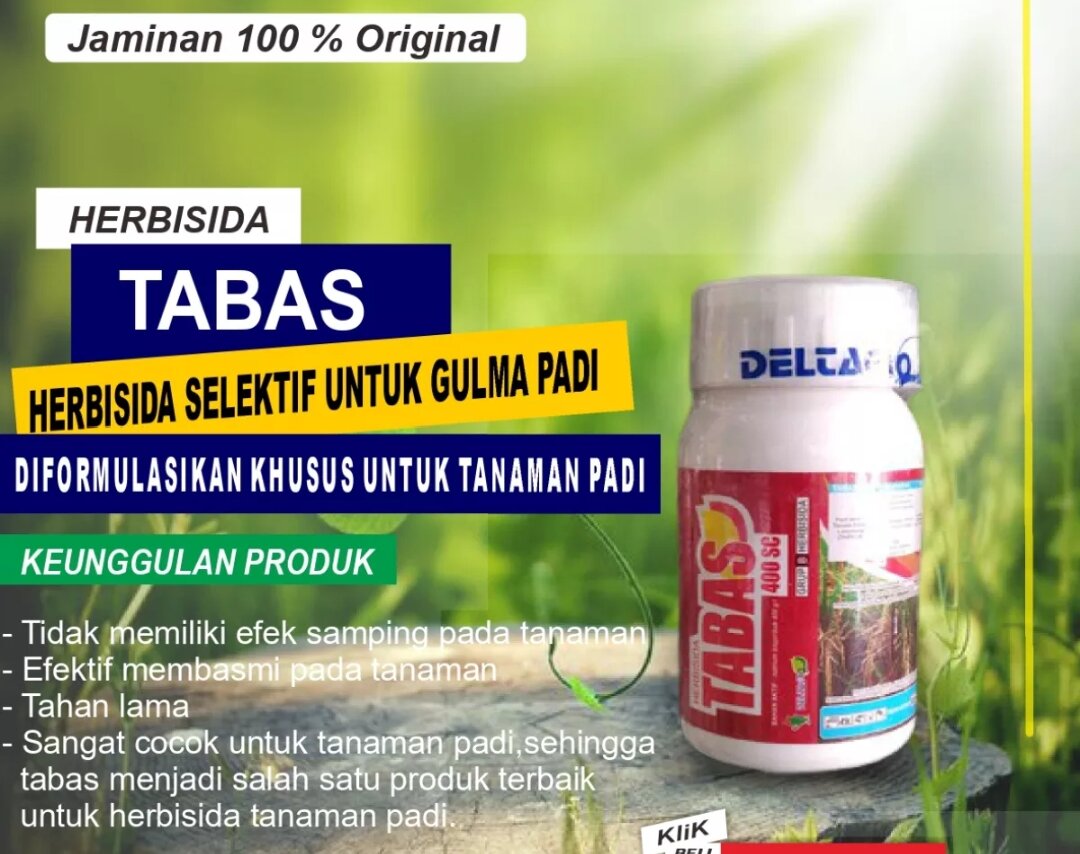 Tabas 50ml / Herbisida tabas 400sc 50ml pengendali gulma padi / obat ...