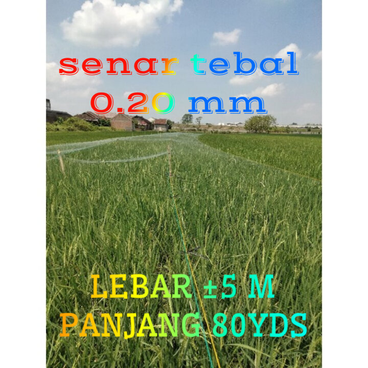 jaring sawah jaring padi jaring pengaman padi dari hama burung jaring ...