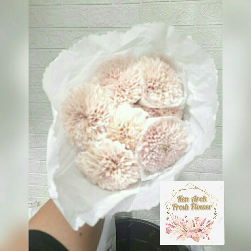 BUNGA GOMPIE | Lazada Indonesia