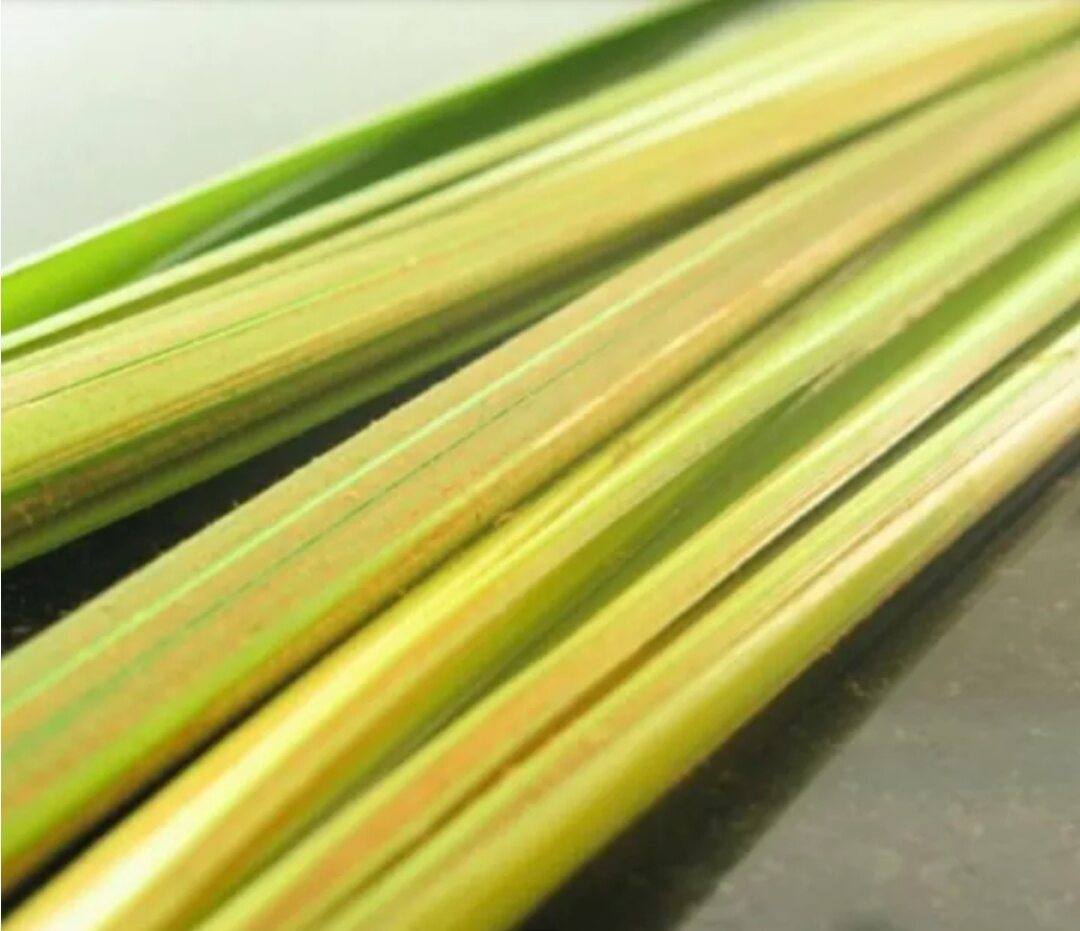 Daun kelapa atau janur untuk cangkang ketupat / 10 pc | Lazada Indonesia