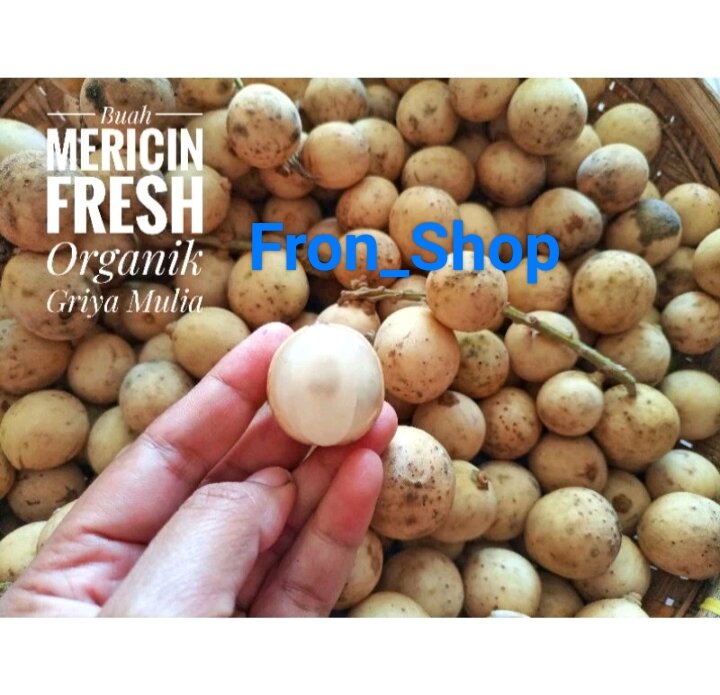 Buah Mericin Segar Fresh (1Kg) | Buah Dukuh Kw Buah Mericin | Lazada ...