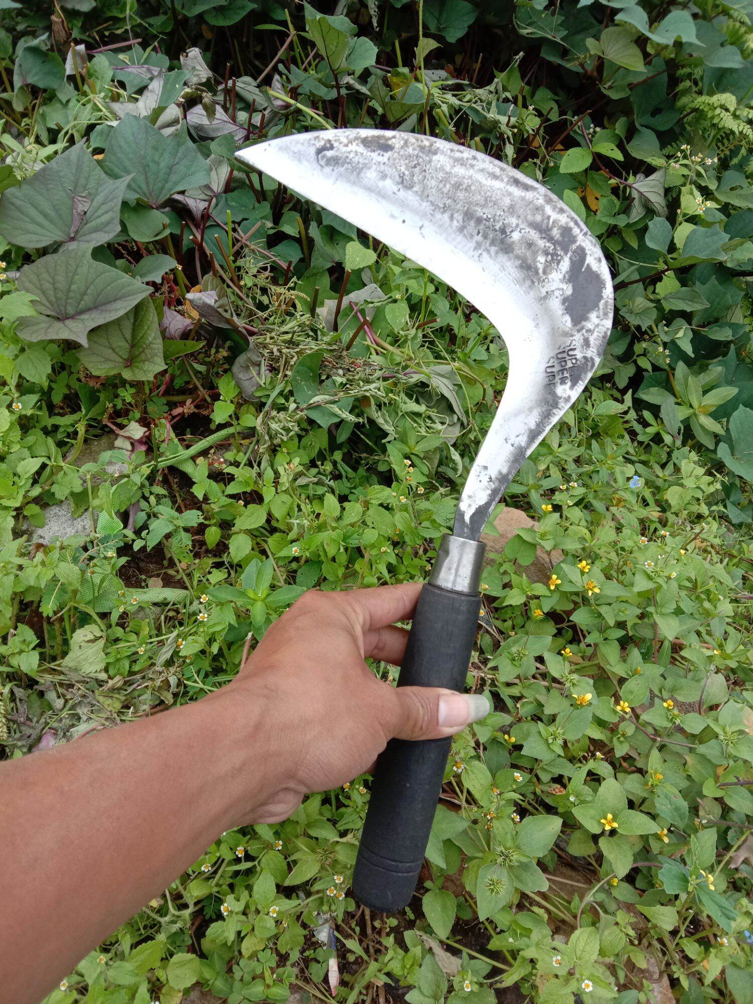 alat PERTANIAN peralatan kebun arit rumput asli baja per bilah halus dan rapih sudah siap pakai ...