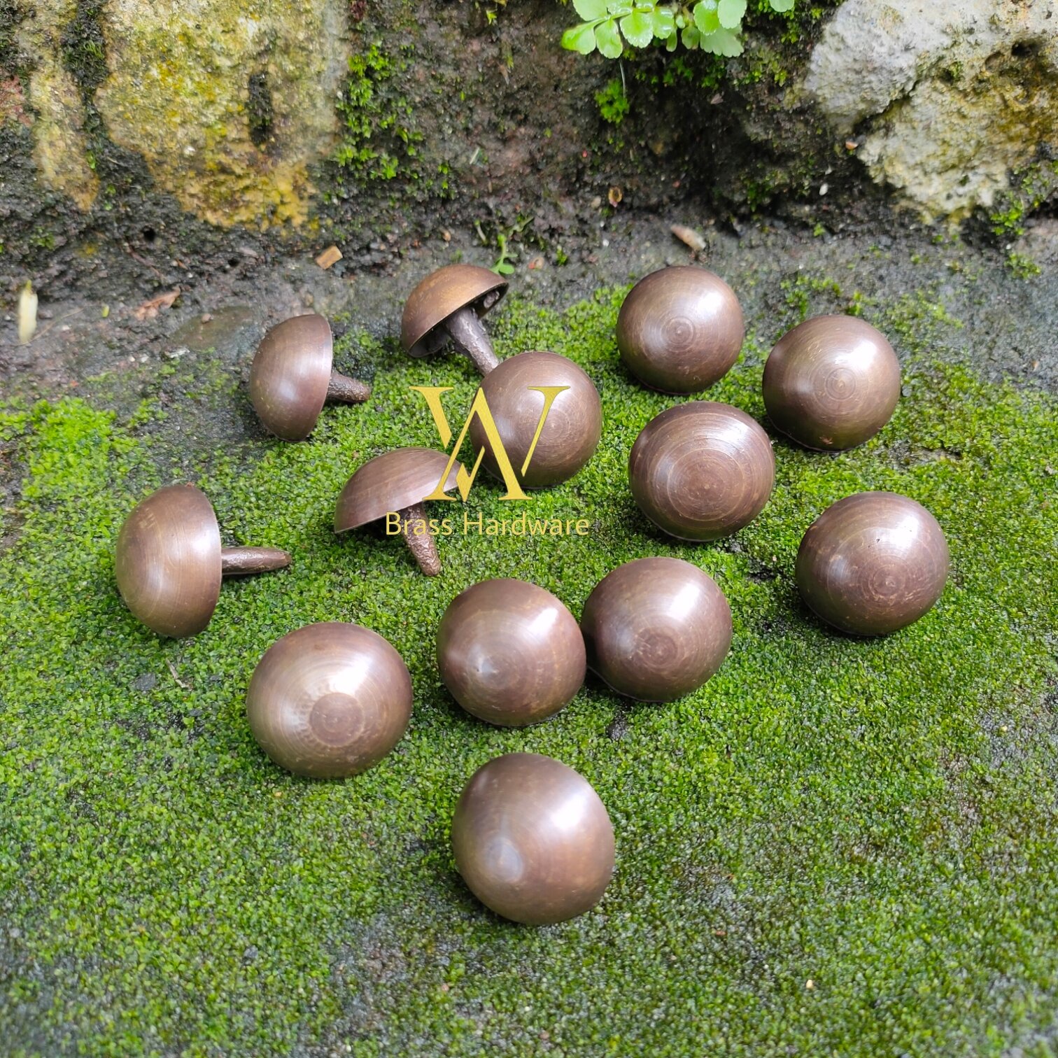 Paku Pines Kuningan Antik Motif Polos 2 cm 1 pcs | Lazada Indonesia