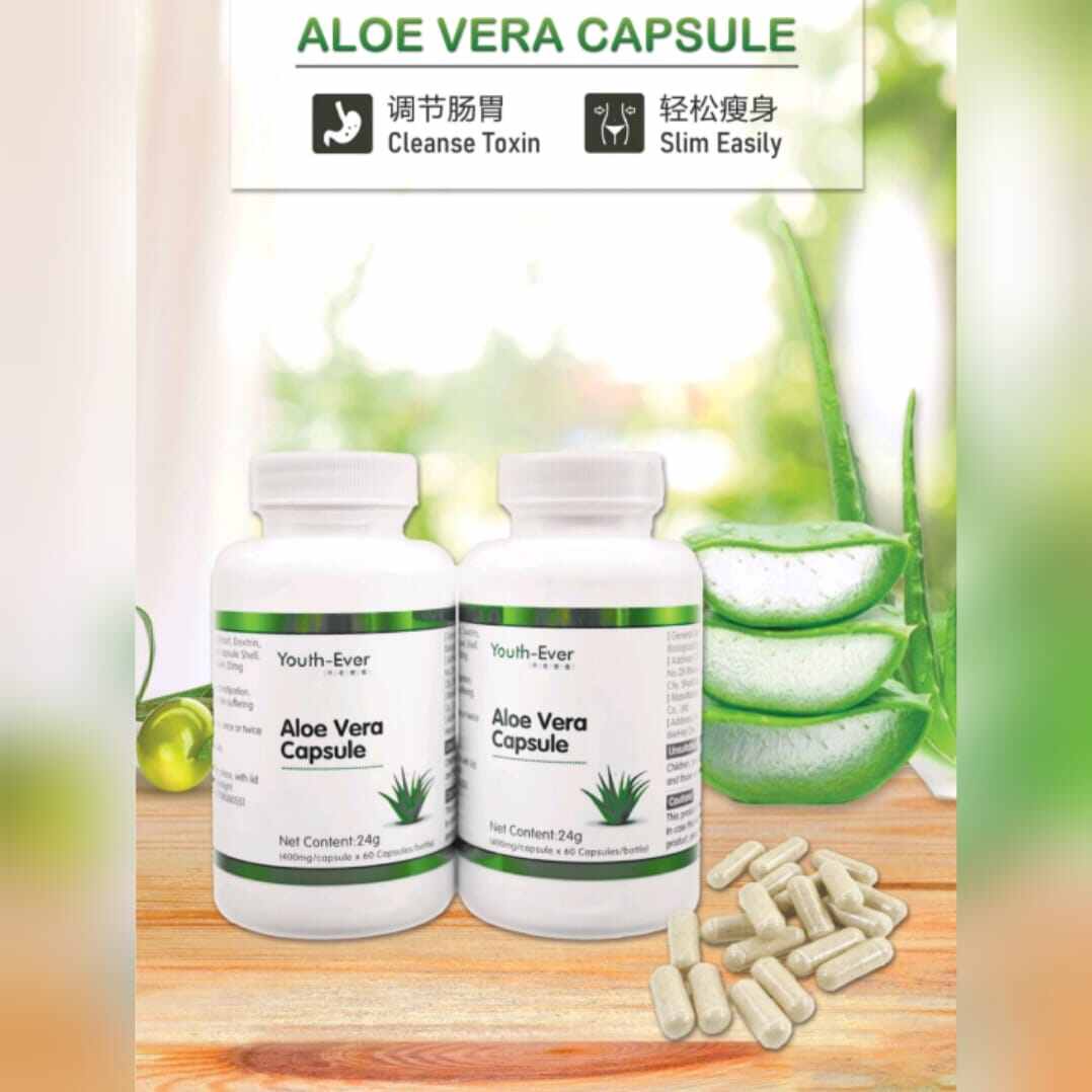 Aloe Vera Capsule 1 botol isi 60 kapsul obat detoks | Lazada Indonesia