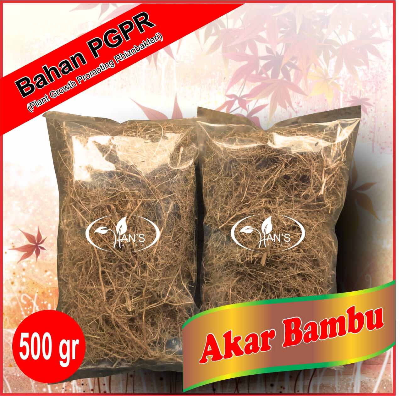 akar bambu bahan utama PGPR(Plant Growth Promoting Rizobacteria ...
