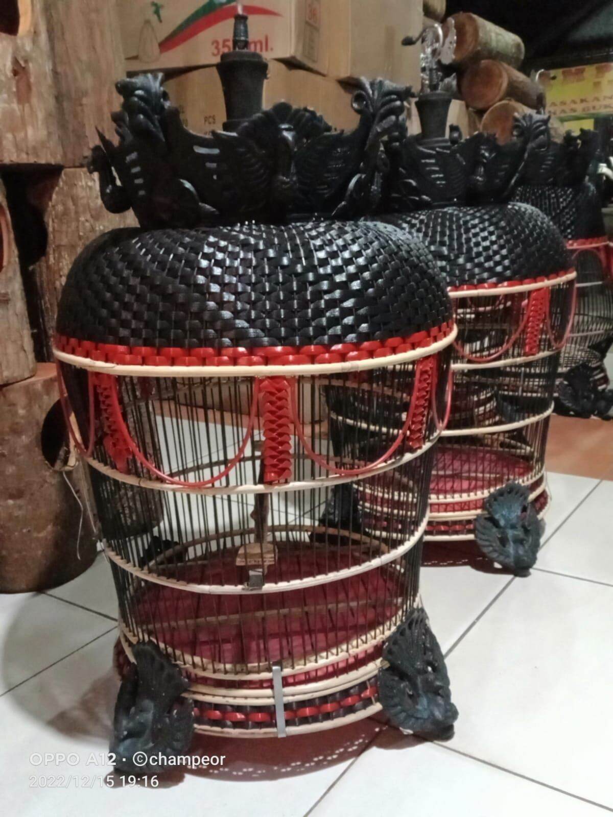 Toko Resmi YUMNA BIRDSHOP Online | Lazada.co.id