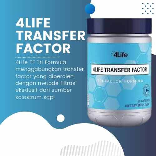 4life transfer factor formula TF tri original asli | Lazada Indonesia