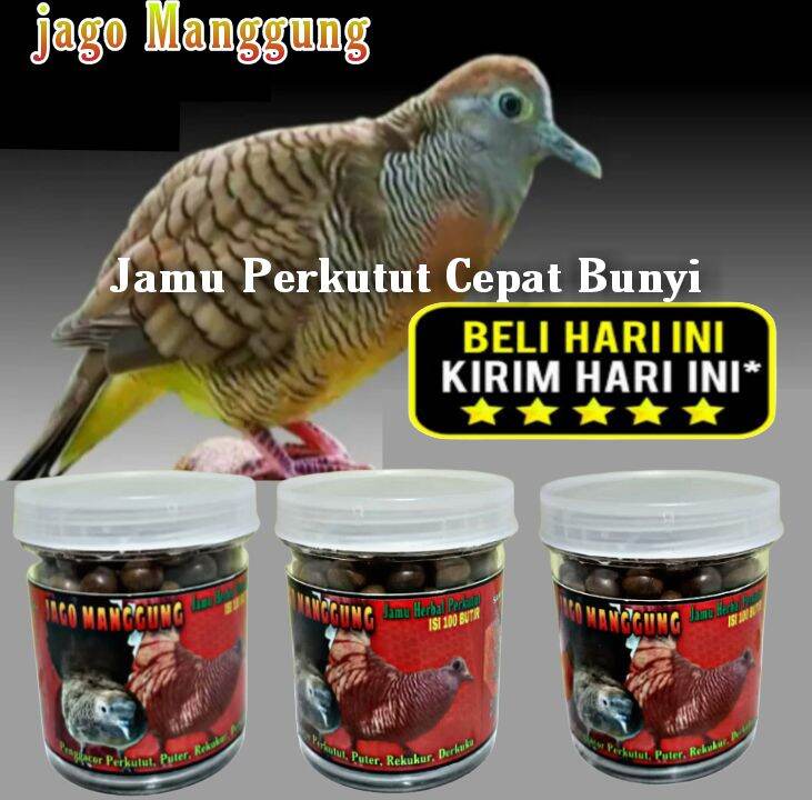 JAMU PERKUTUT JAGO MANGGUNG pil apbn obat malas bunyi cepat bunyi ...