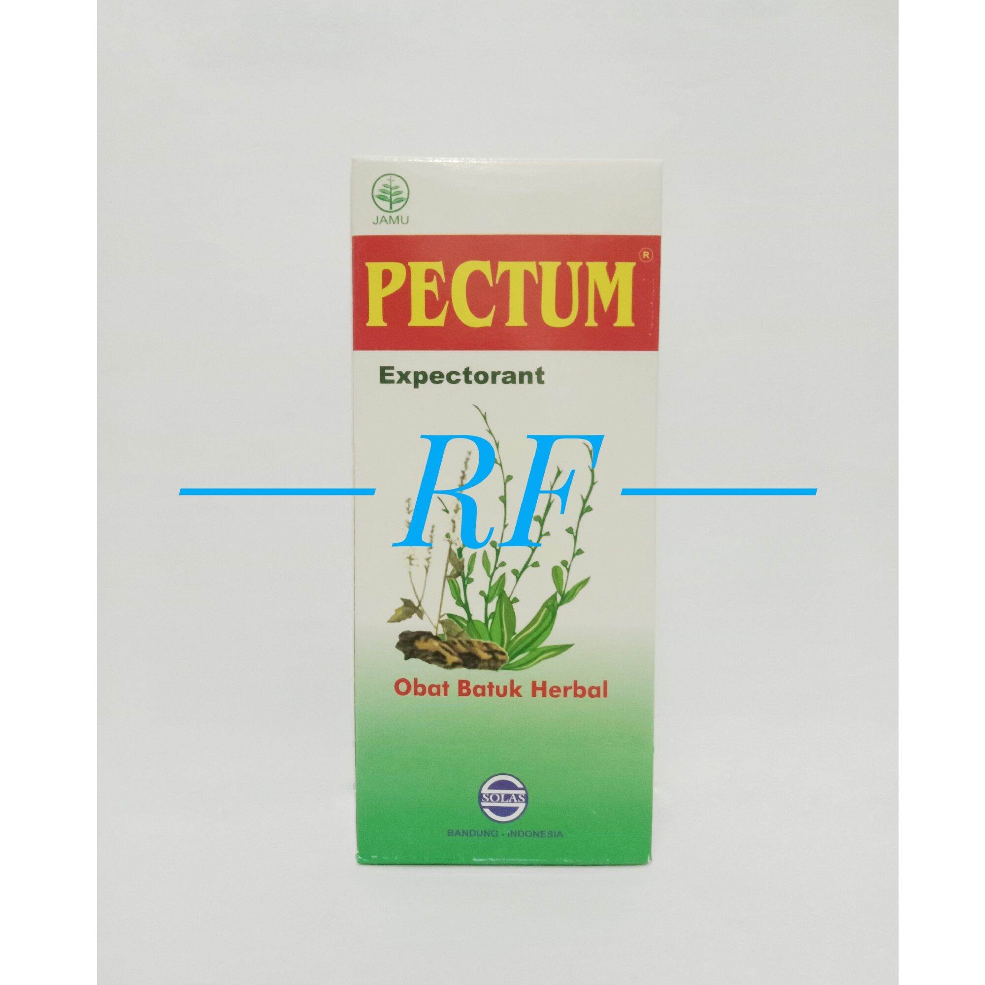 Pectum Expectorant Syrup 120mL (Solas) | Lazada Indonesia